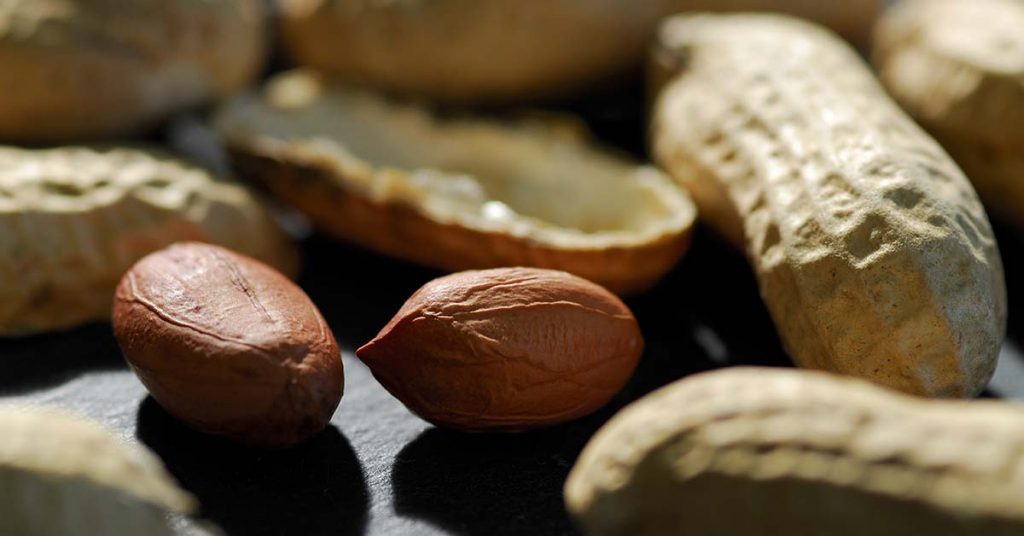 Study: Vaccine Suppresses Peanut Allergies in Mice - SnackSafely.com
