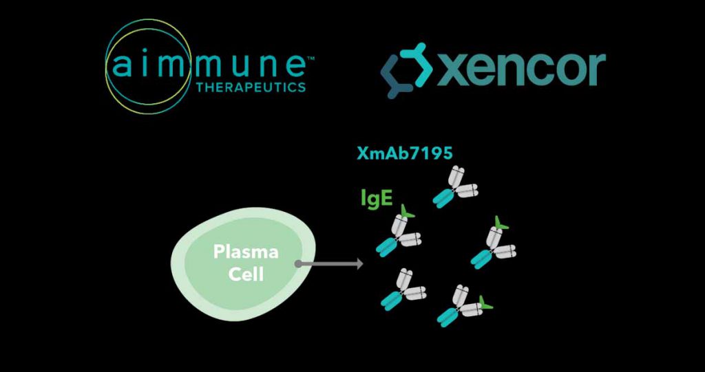 Aimmune Licenses Exclusive Worldwide Rights to Xencor’s XmAb®7195 for ...
