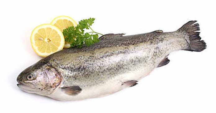 Why Allergy Tests May be Underdiagnosing Fish Allergy - SnackSafely.com