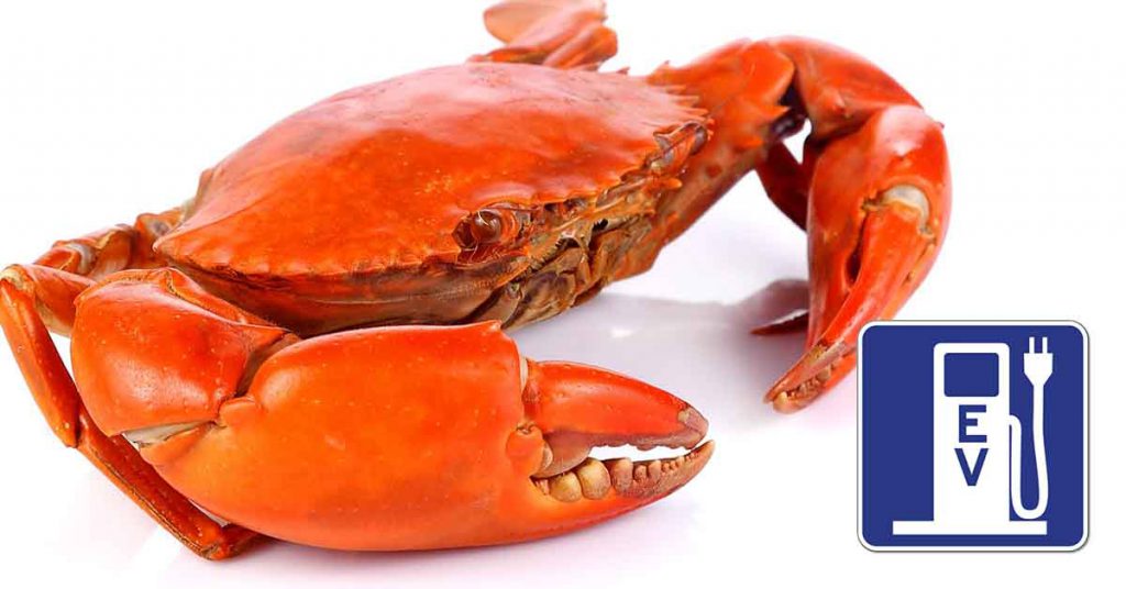 Coming to an EV Near You: Batteries Made from Crustacean Shells ...