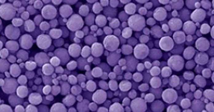 Nanoparticles in Food May Play a Role in the Development of Food ...