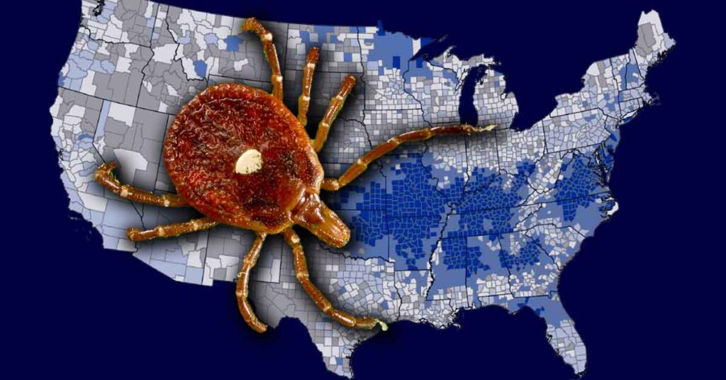 Longer Tick Season Ahead: Protect Yourself from Alpha-Gal Syndrome with ...