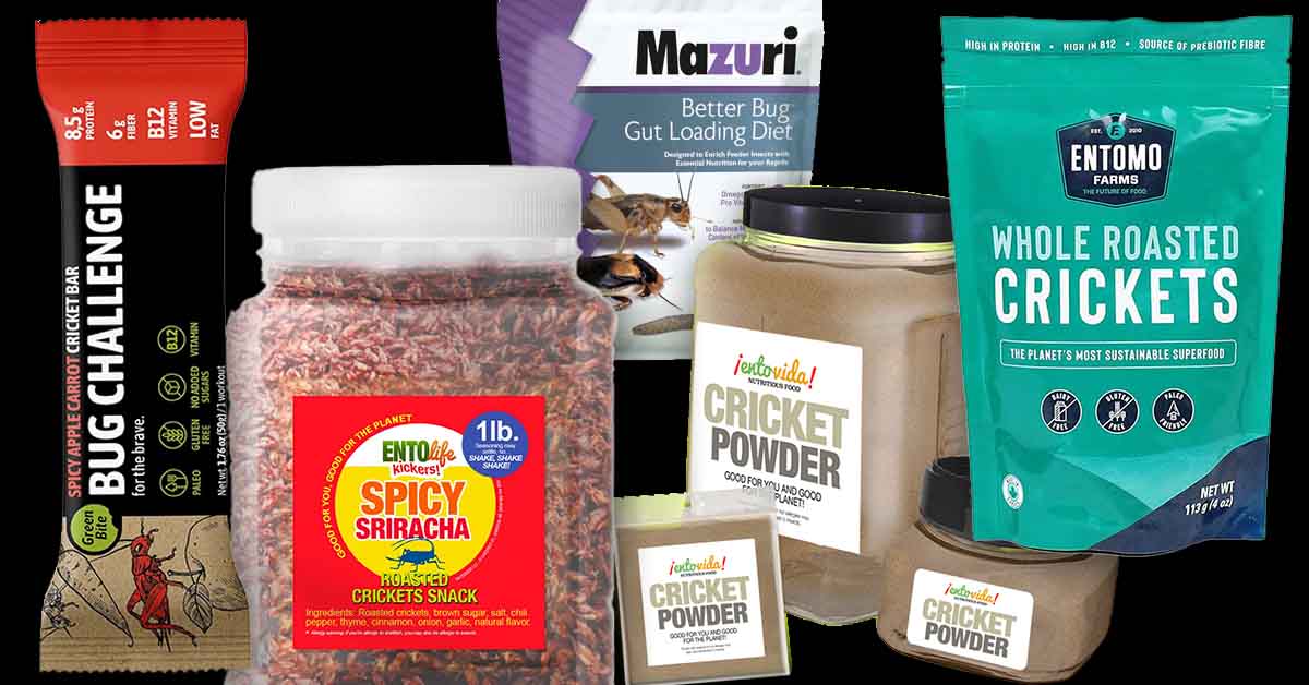Insect-Based Foods Can Trigger Allergic Reactions - SnackSafely.com