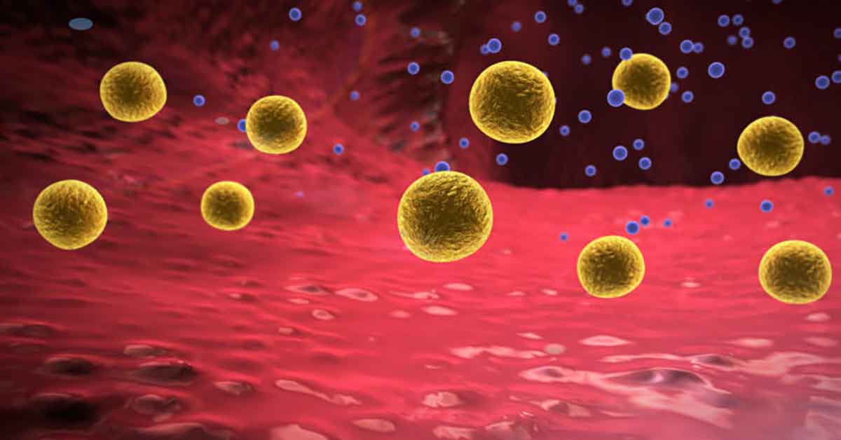 Study Reveals Importance of Bile Acids and Other Metabolites in Food ...