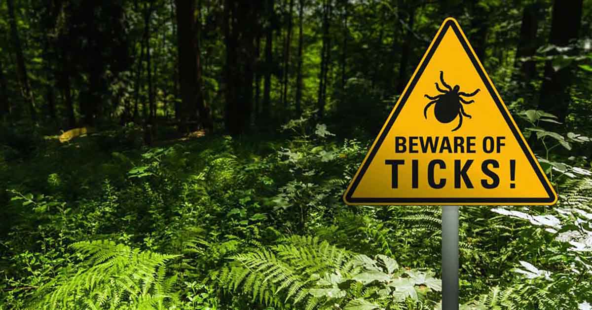 The Next Big Public Health Crisis: Lone Star Ticks and Alpha-Gal ...