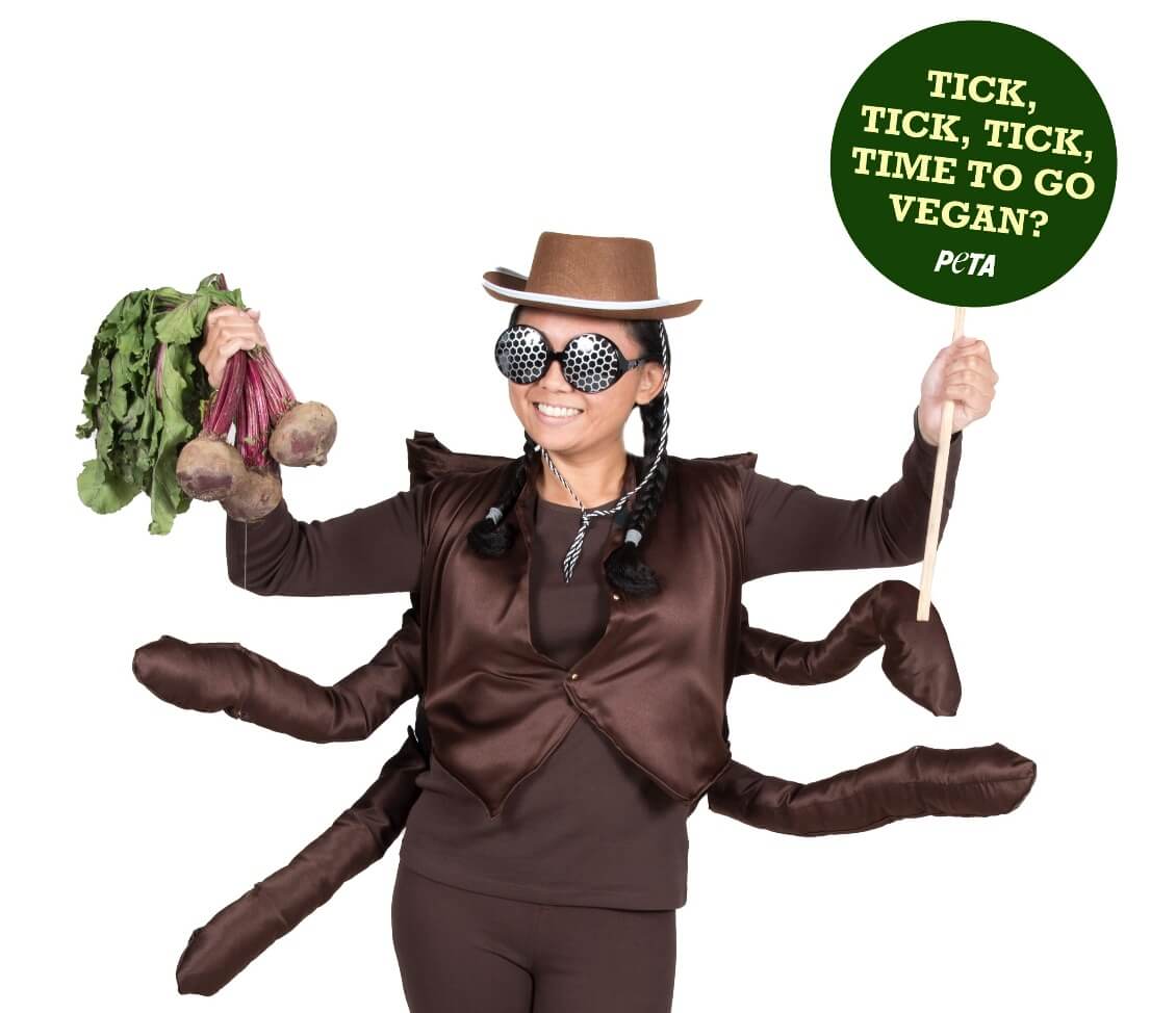 You Be the Judge: Humor at the Expense of the Food Allergy Community ...