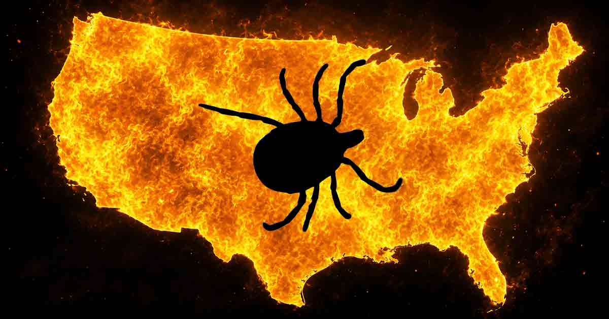 A Nation Bitten by Red Meat Allergy: 14 Regional Reports Expose a US ...